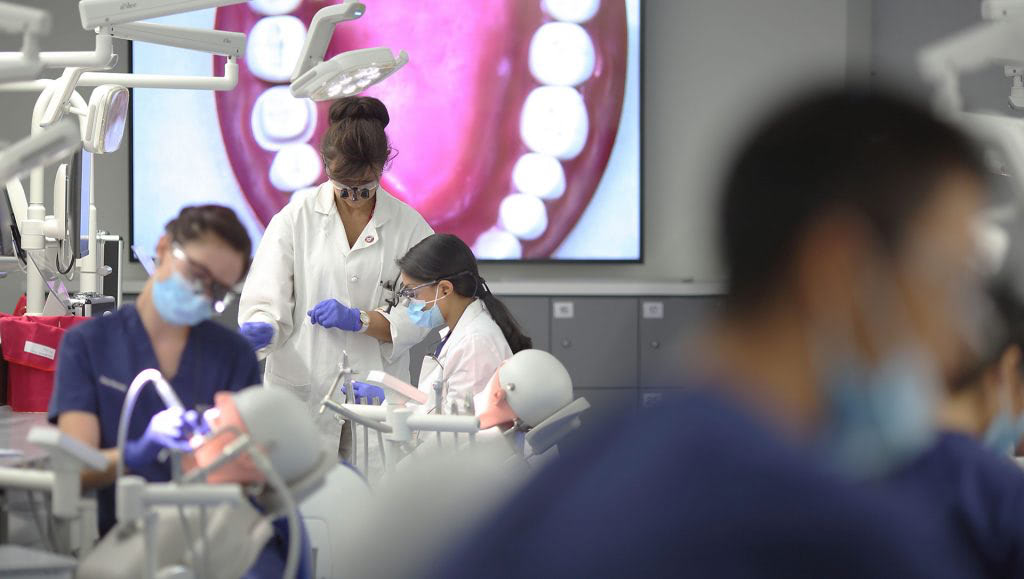 Training for dentists – IDL Dental Technologies LTD